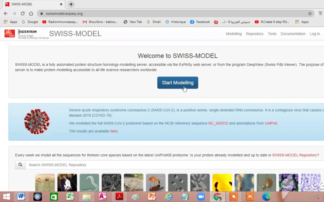 SWISS-MODEL预测蛋白结构的简易方法