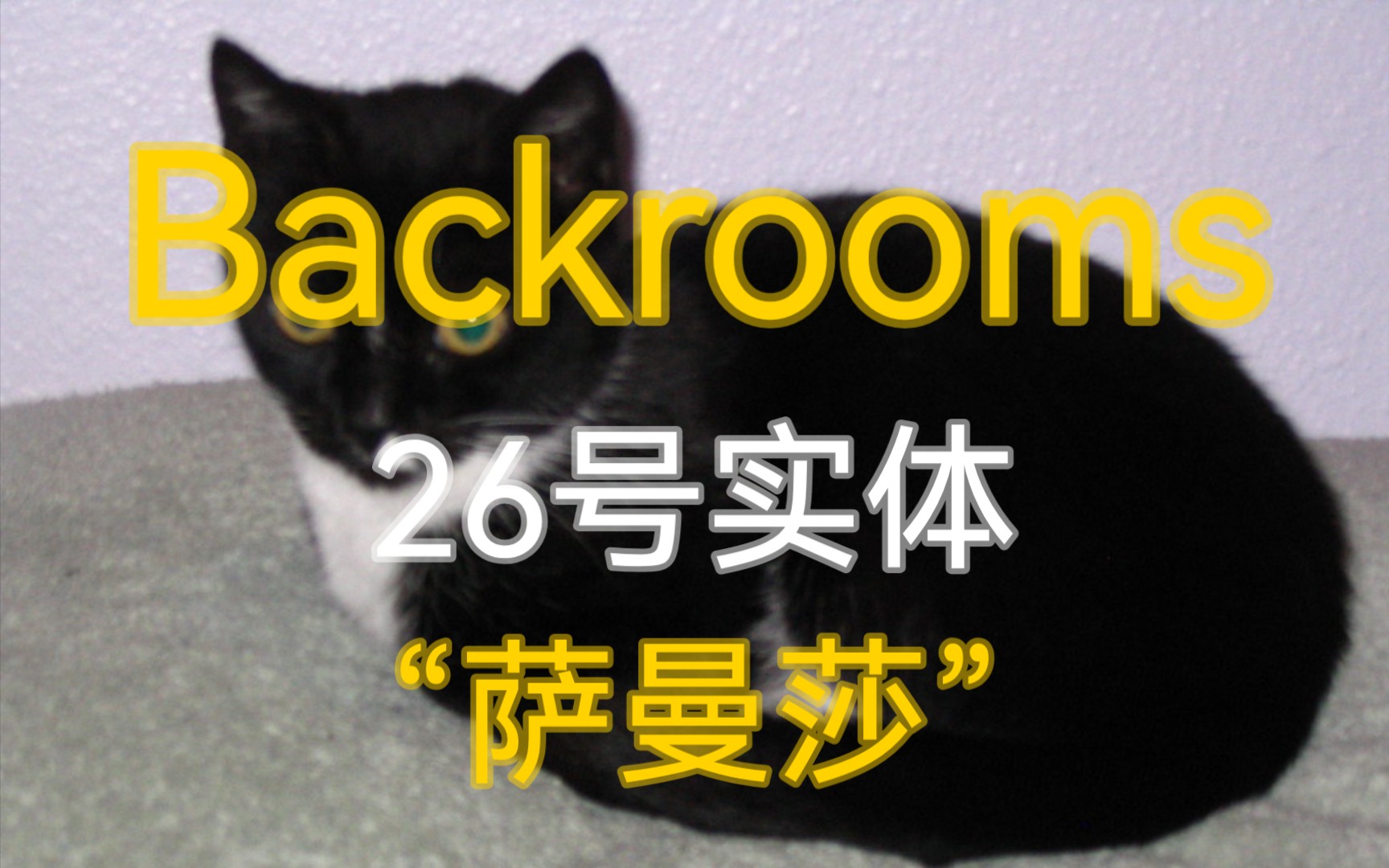 【Backrooms】26号实体:“萨曼莎” 会通灵术的可爱猫猫