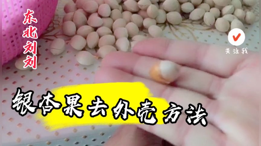银杏果去外壳方法简单实用,工具家里都有,来看看