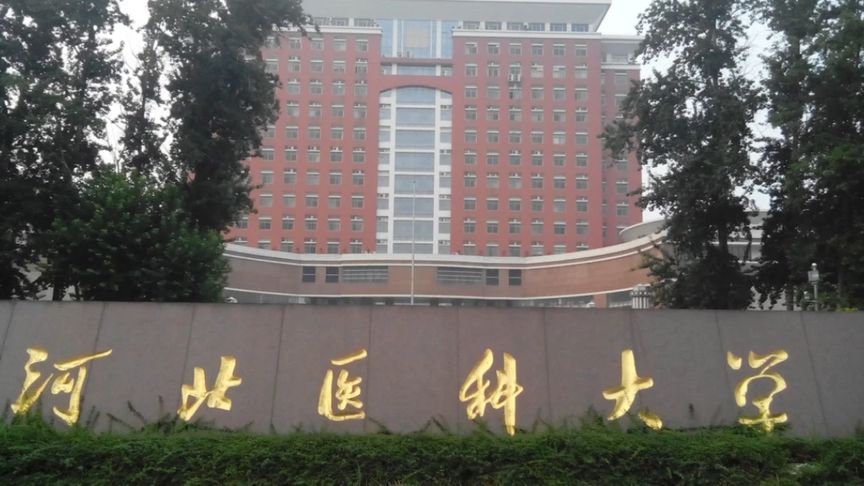 河北医科大学2021年最低提档线和位次