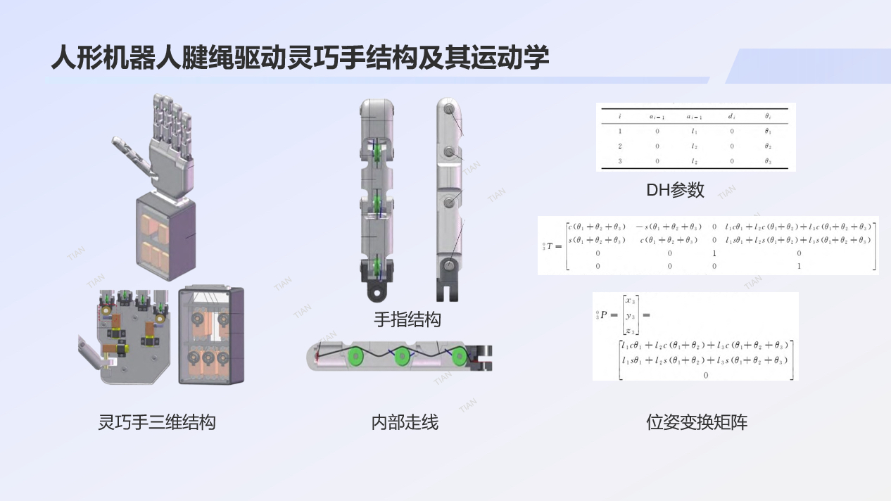 人形机器人灵巧手设计07-腱绳驱动结构及其运动学