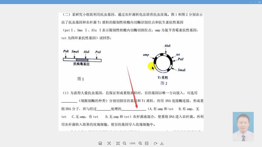 标记基因的作用是什么?