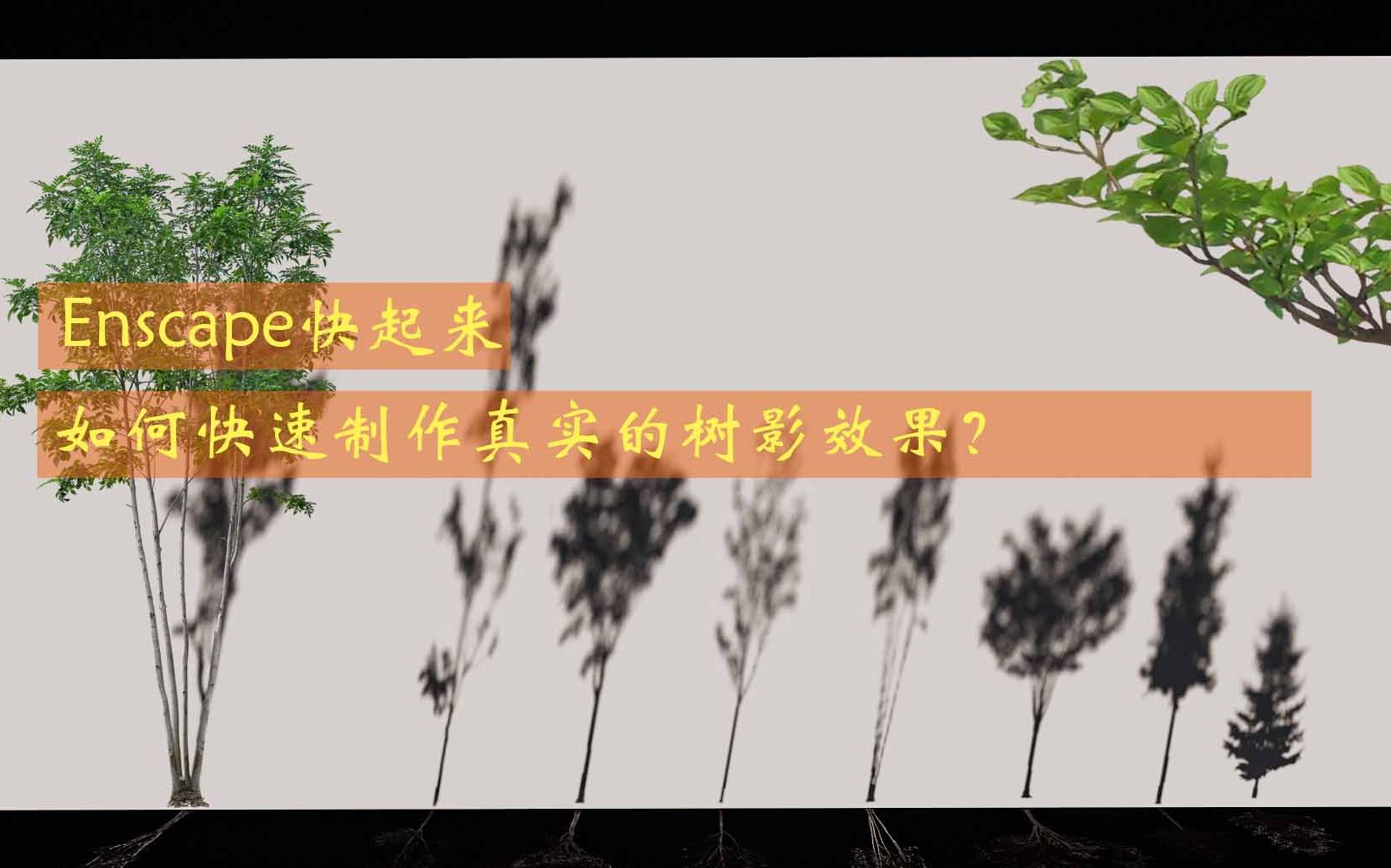 【Enscape素材】如何快速制作真实的树影效果?
