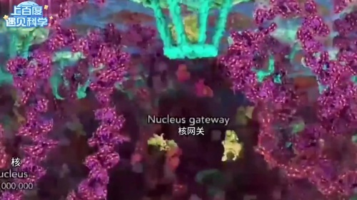 细胞代谢机制解析 物理原理 科学探秘