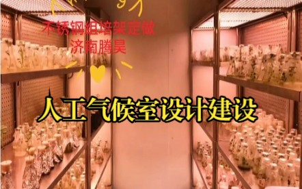 304不锈钢组培架 不锈钢培养架 植物育苗架 组织培养架 气候室培养架