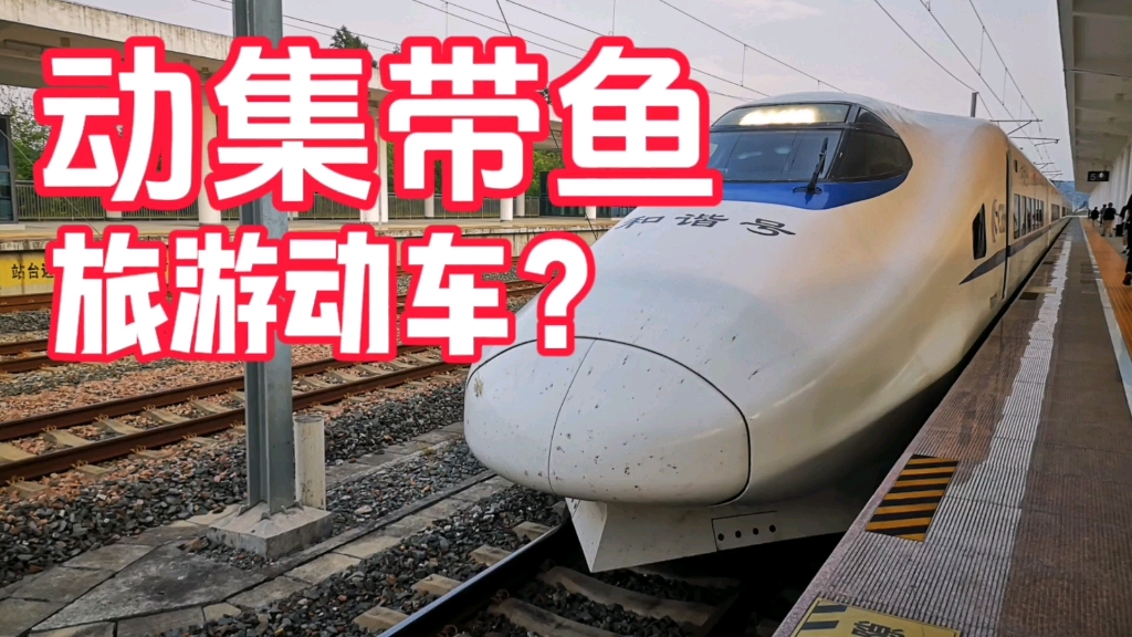 绿皮旅游动车!动集or动分?D6263次列车全程运转[橘铁交游记 04]