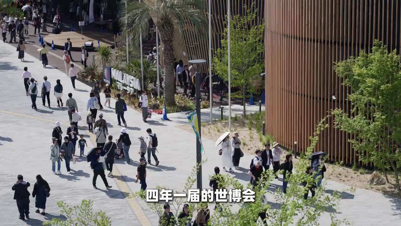 ...存储设备 #金士顿 #大版世博会 #SD存储卡 #移动固态硬盘 #存储设备