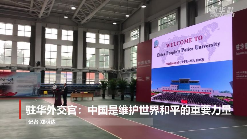 驻华外交官:中国是维护世界和平的重要力量