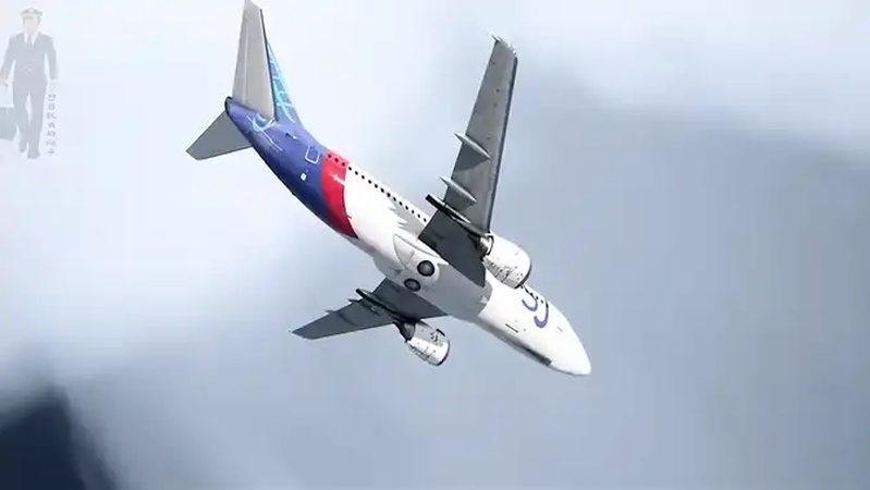 济州航空客机引擎发现鸟类羽毛:是偶然事故还是安全管理的漏洞