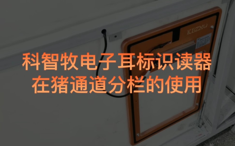 科智牧电子耳标识读器如何在猪通道分栏中使用呢#猪通道分栏管理 #...
