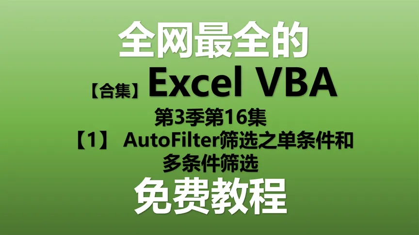 Excel VBA教程 S03E16.1 AutoFilter筛选之单条件、多条件筛选