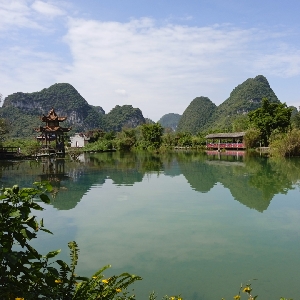 树下的池塘 