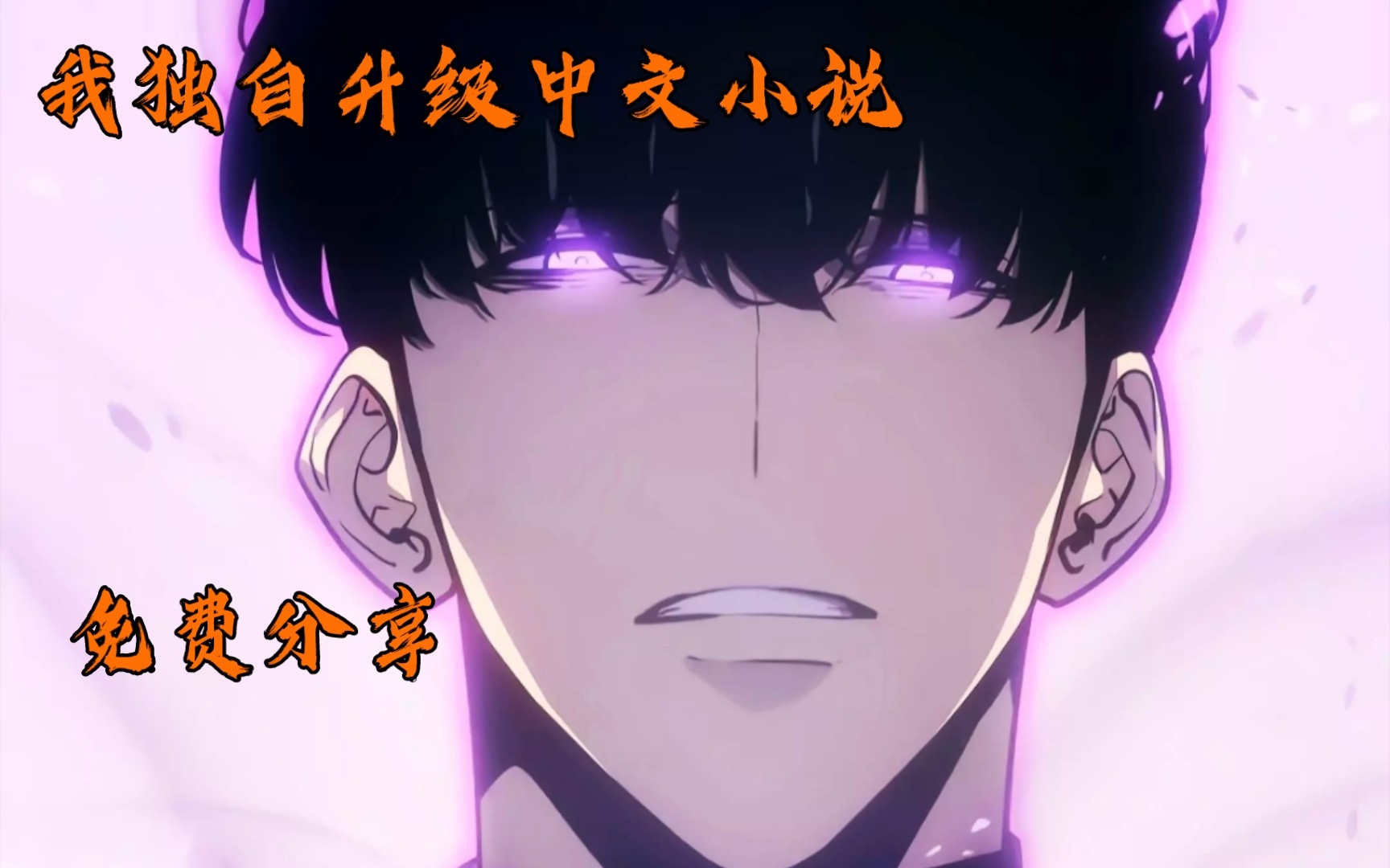 我独自升级小说分享(有外传)