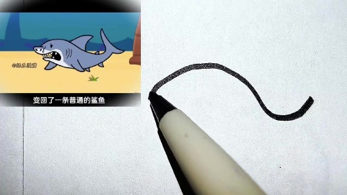 鲨鱼还可以怎么画?创意简笔画,儿童画
