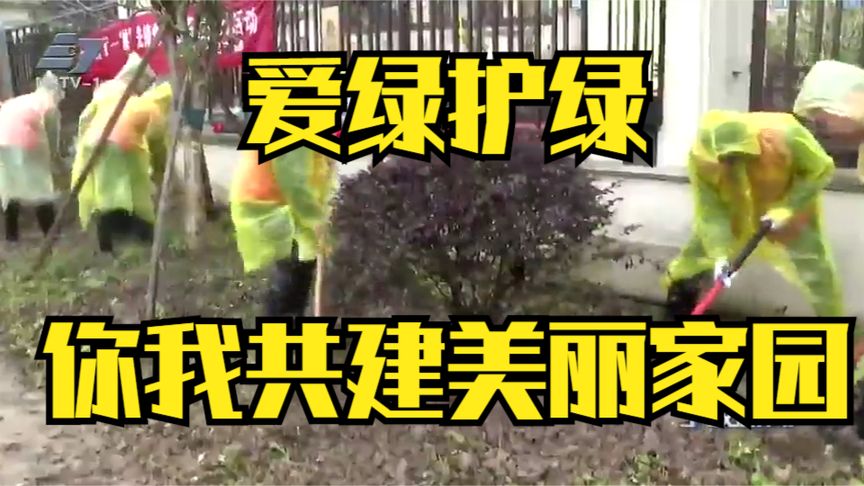爱绿护绿 你我共建美丽家园