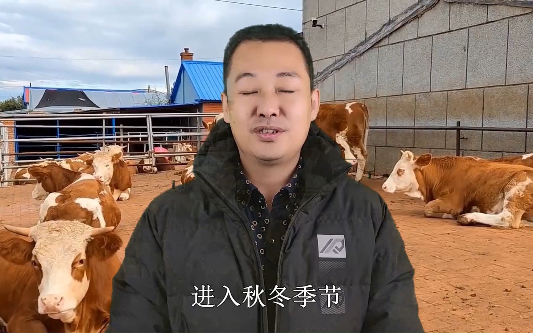 牛流感病毒感染症状与治法,牛流感的症状与预防要点