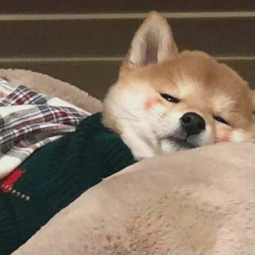 Mochi-ovo 