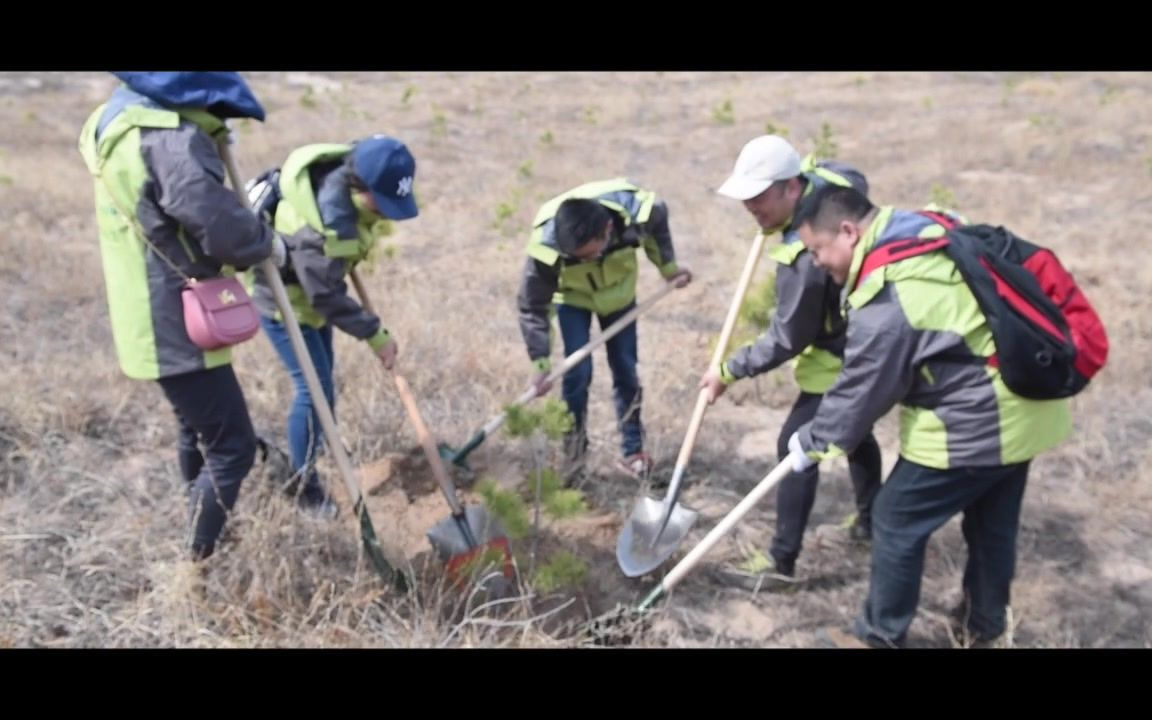 百万植树计划2019内蒙古公益植树行记录