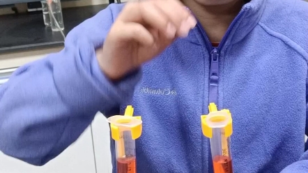 科学小实验#连通器