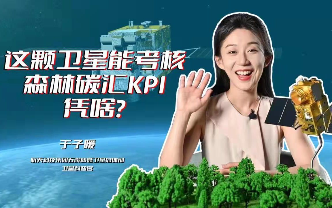 考核森林碳汇KPI的卫星,你听说过吗?