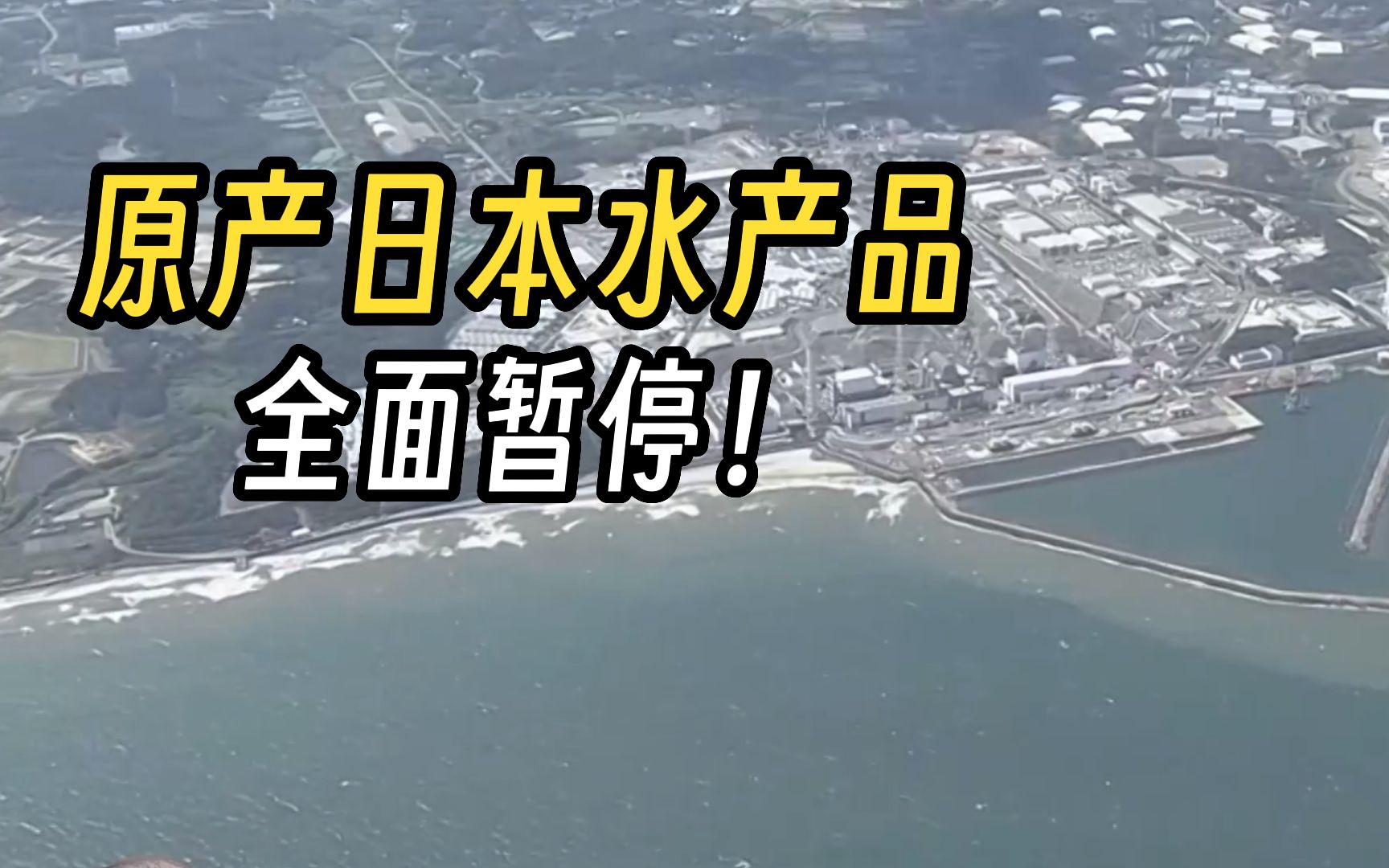 海关总署出手:全面暂停进口原产地为日本的水产品!