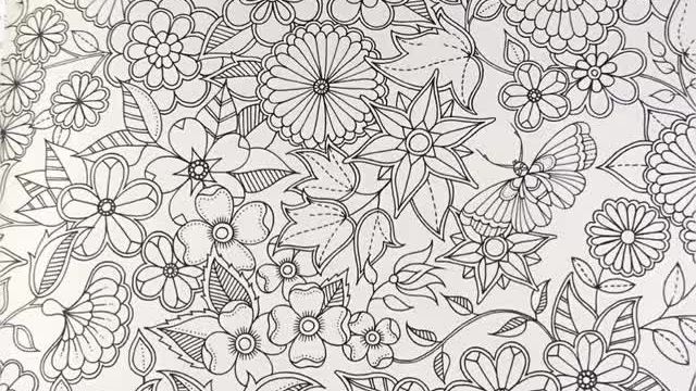 [oeasy]ai141-图像描摹 实时上色 秘密花园 凤凰