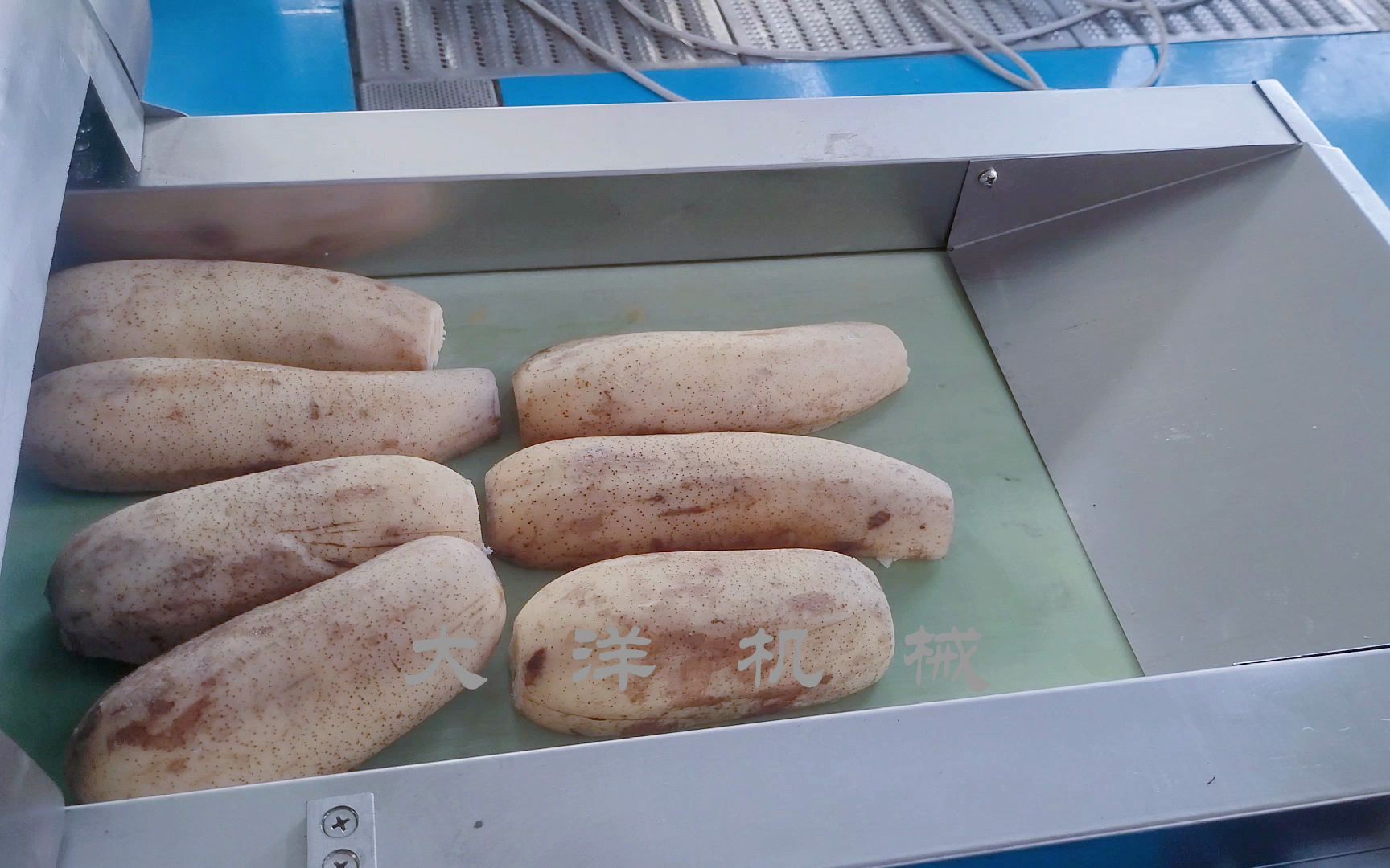 全自动莲藕半圆片 莲藕切片机视频演示