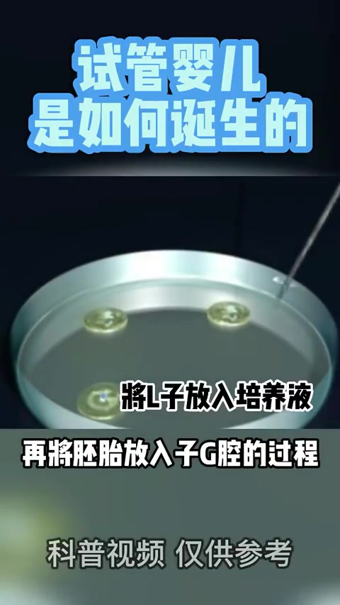 试管婴儿是如何诞生的?