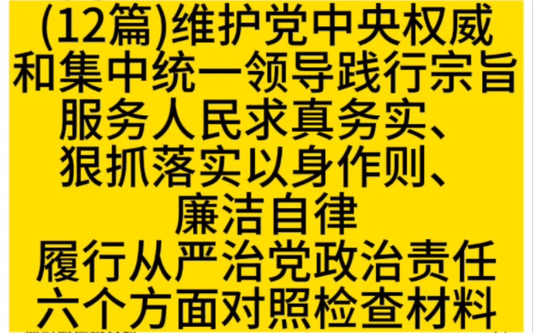 (12篇)维护党中央权威和集中统一领导践行宗旨、服务人民求真务实、...