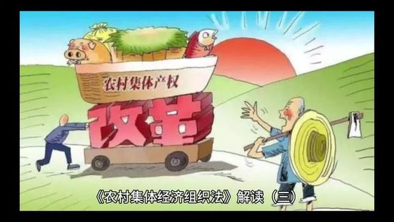 农村集体经济组织法 集体经济