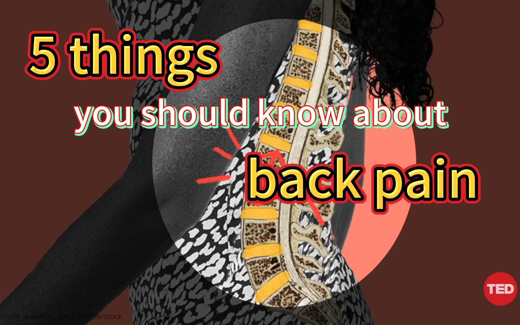 【TED】背痛“5”小事(熟肉,片尾有省流总结)