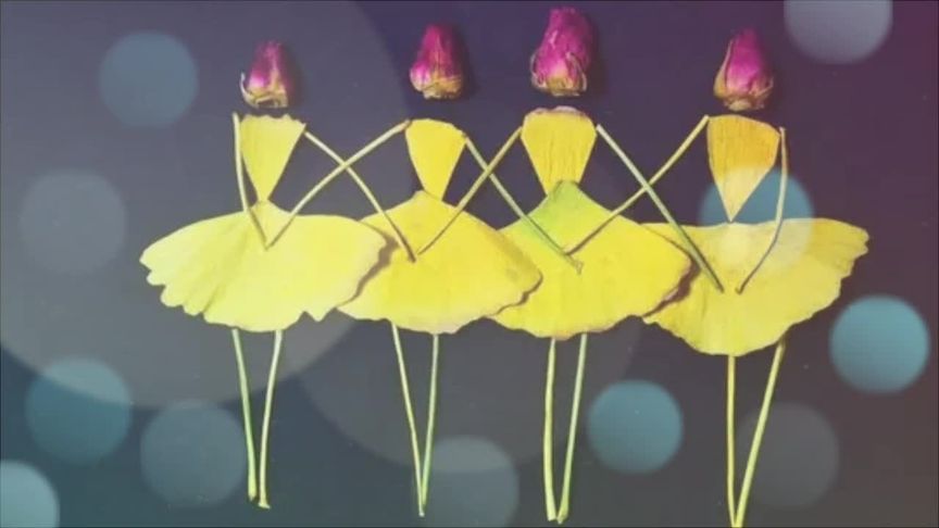 银杏叶的芭蕾梦(素材来源:美篇APP 作者:远山)