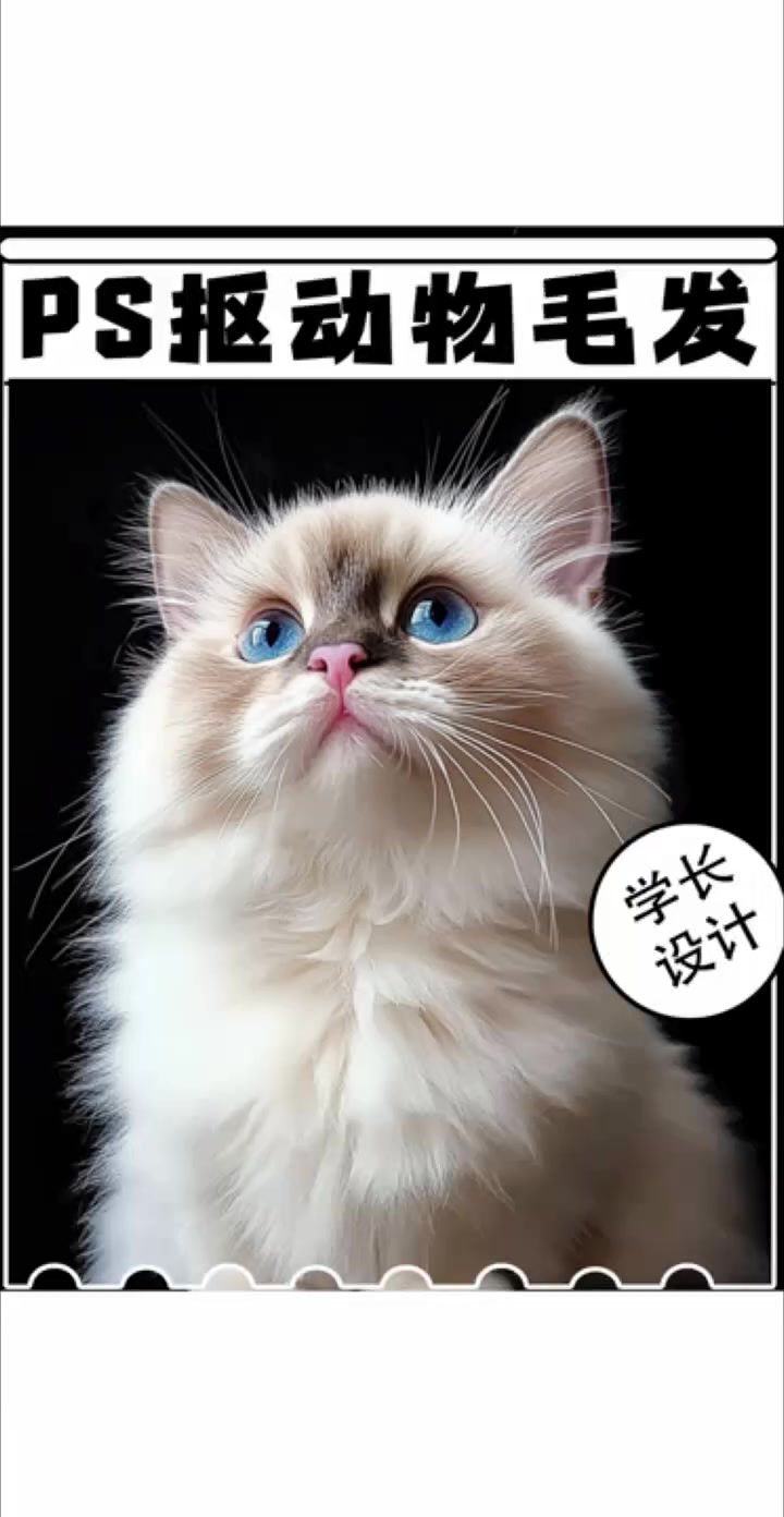 PS抠动物毛发,三千有三千的玩法!"ps "ps基础 "平面设计 "ps技巧