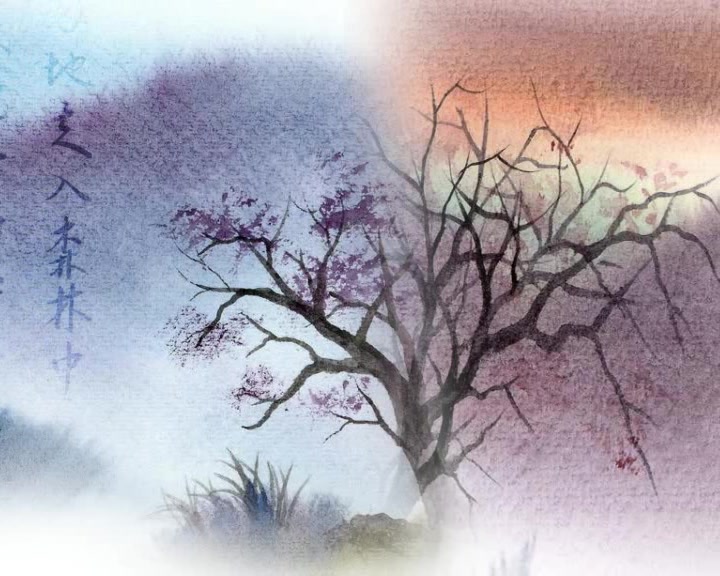 南屏晚钟背景视频