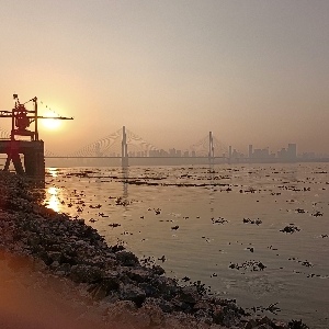 自由自在的兰酱 