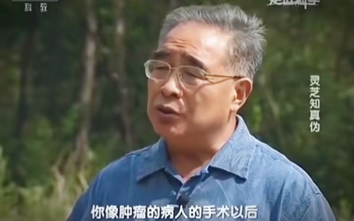 灵芝的功效作用-中国工程院院士张柏礼访谈,灵芝可有效提高人体的...