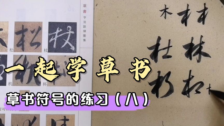 子慧日课—一起来学写草书符号(八),木字旁片字旁。