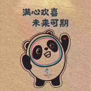 稀饭遇上烂腌菜 