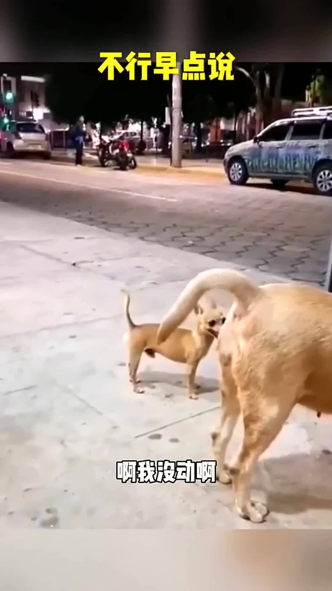 细狗实在不行就早点说,非得这样弄吗?浪费时间