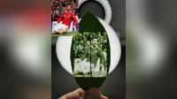 #C罗重回曼联##树叶雕##树叶画##2022年卡塔尔世界杯#