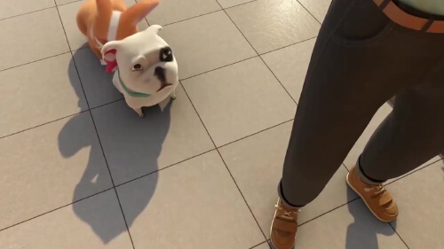 飞狗MOCO:这是怎么回事?怎么每个人都要追它,简直太可怜了