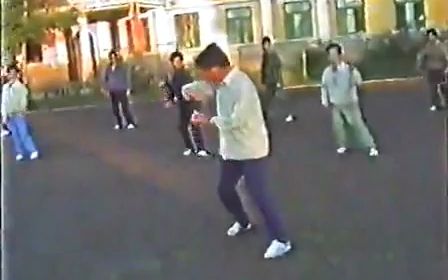 陈氏太极拳小架 陈伯祥主讲 三层架教学(全)
