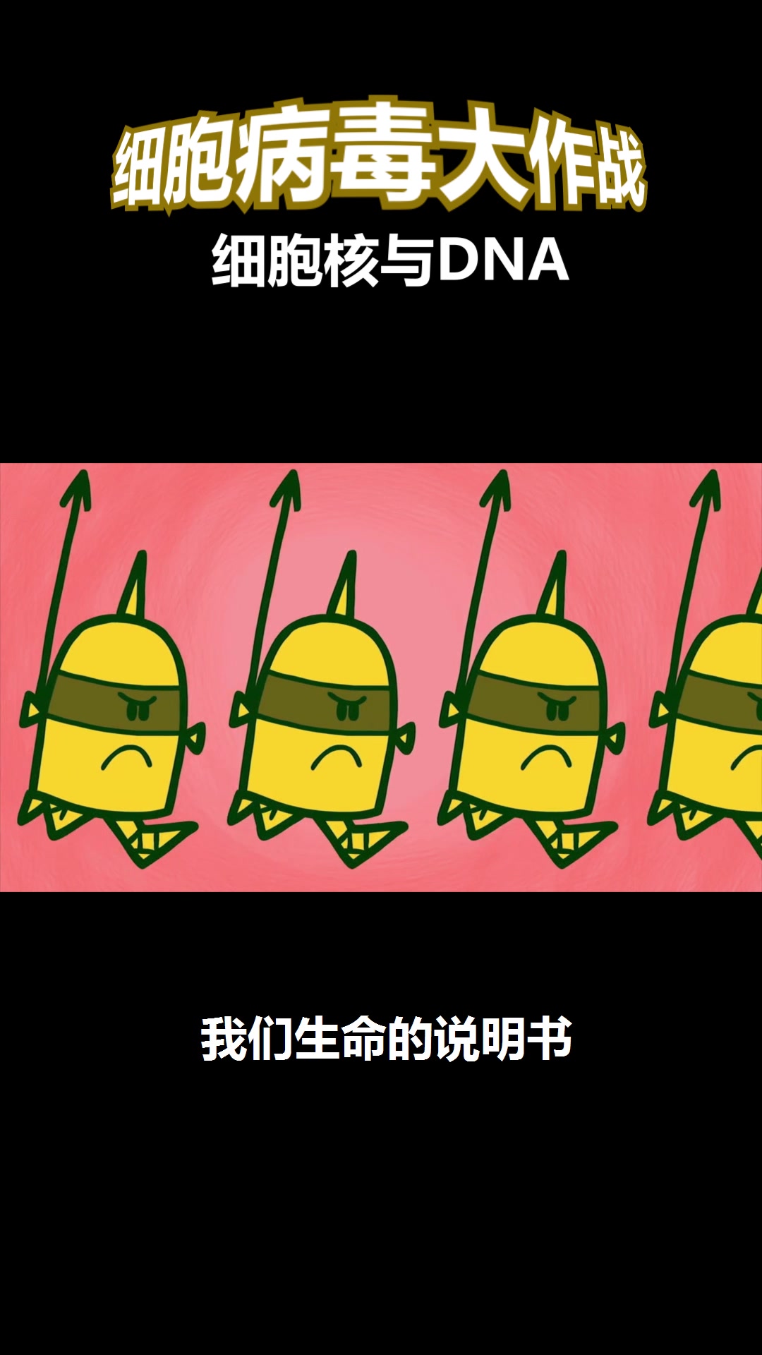 《细胞与病毒大作战》3 细胞核与DNA