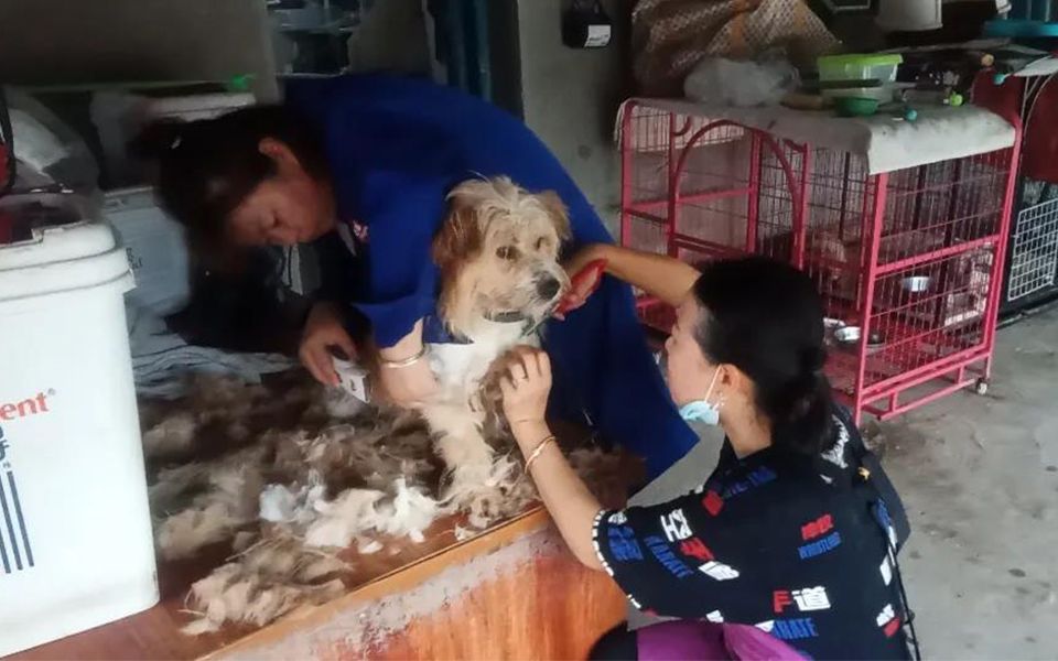 B站爱心人士再次接力献爱心,捐冰柜捐肉解基地难题