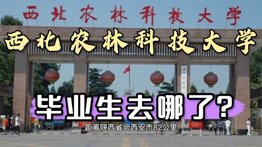西北农林科技大学毕业就业、读研各占多少?出国多吗?