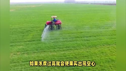 10毫升氯吡脲兑多少水喷施?氯吡脲使用方法