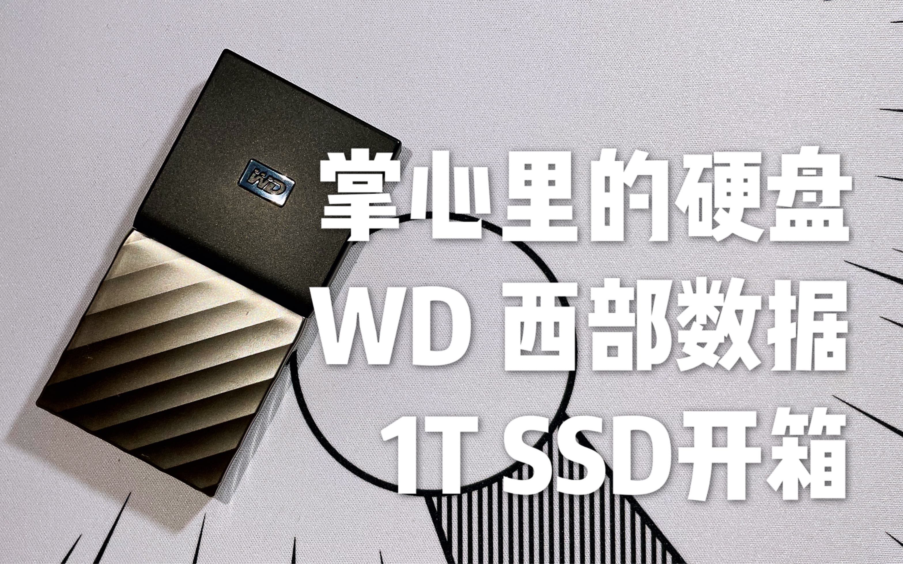 【开箱】这硬盘太好看了!WD西部数据 1T SSD移动硬盘