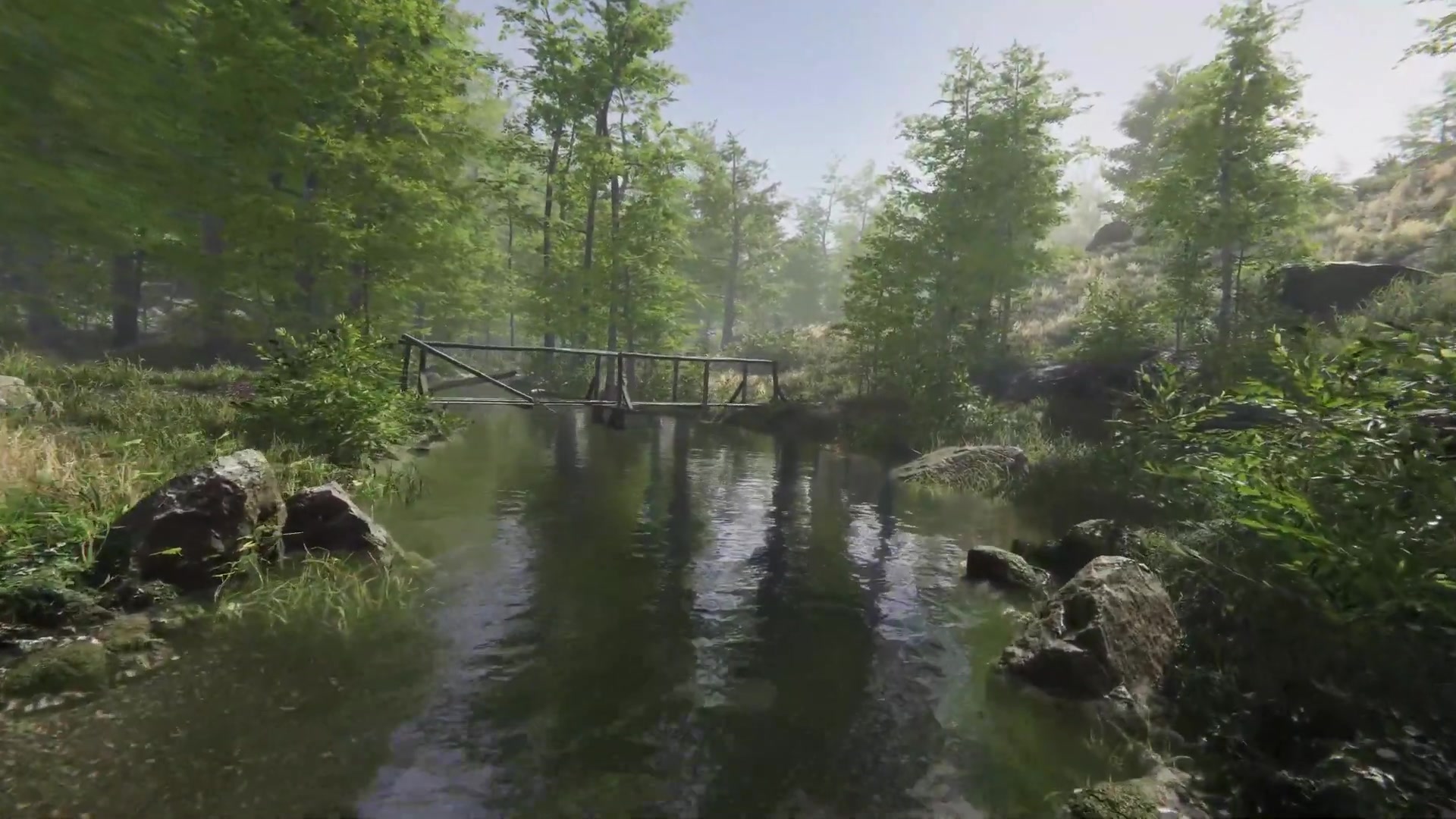 Unity2019HDRP动态森林高清渲染