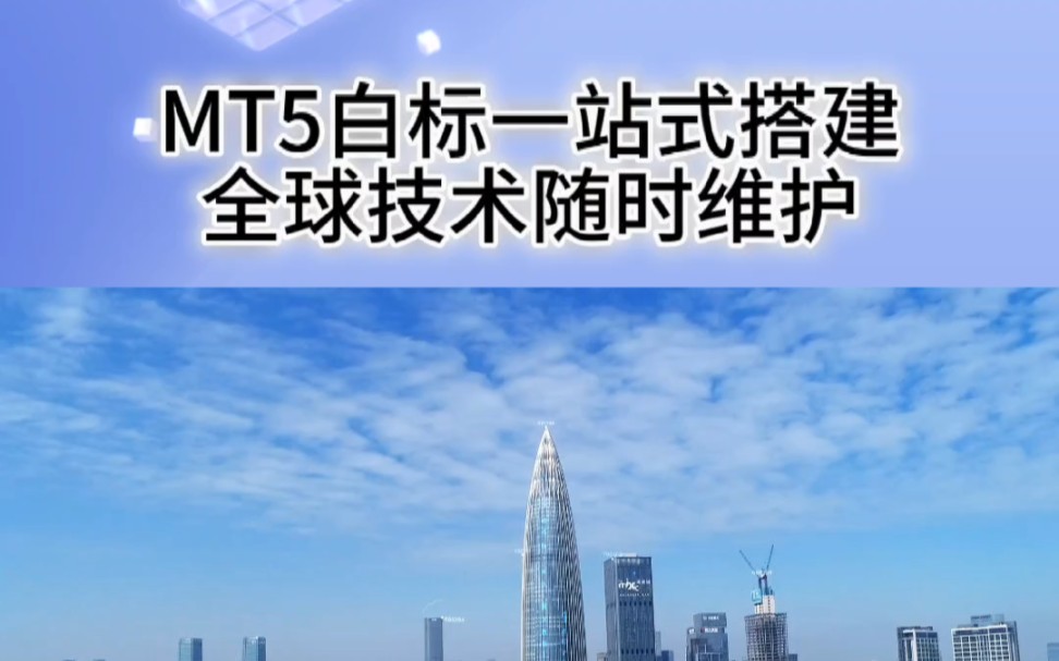 ...交易外汇·贵金属·原油·CFD货币对,使机构能够快速拥有自己的...