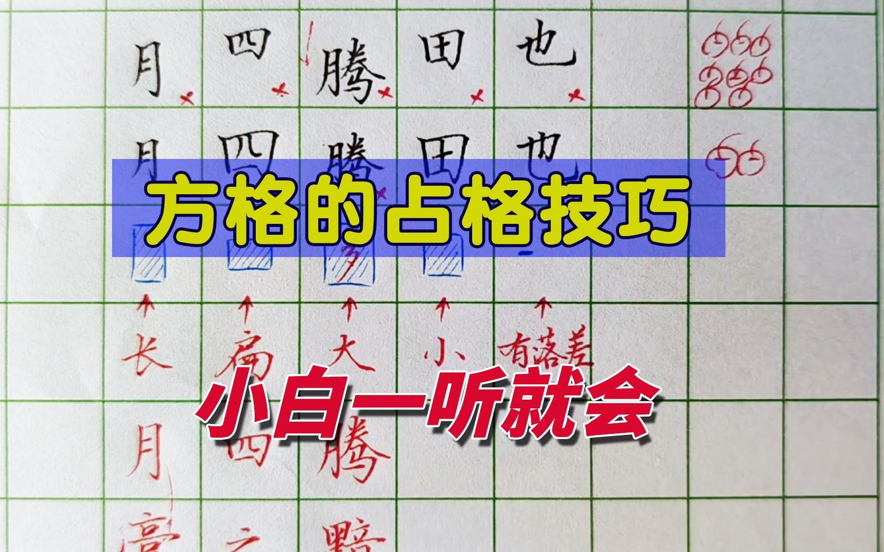 小方格书写的占格技巧,学校老师不会这样教,小白一听就会